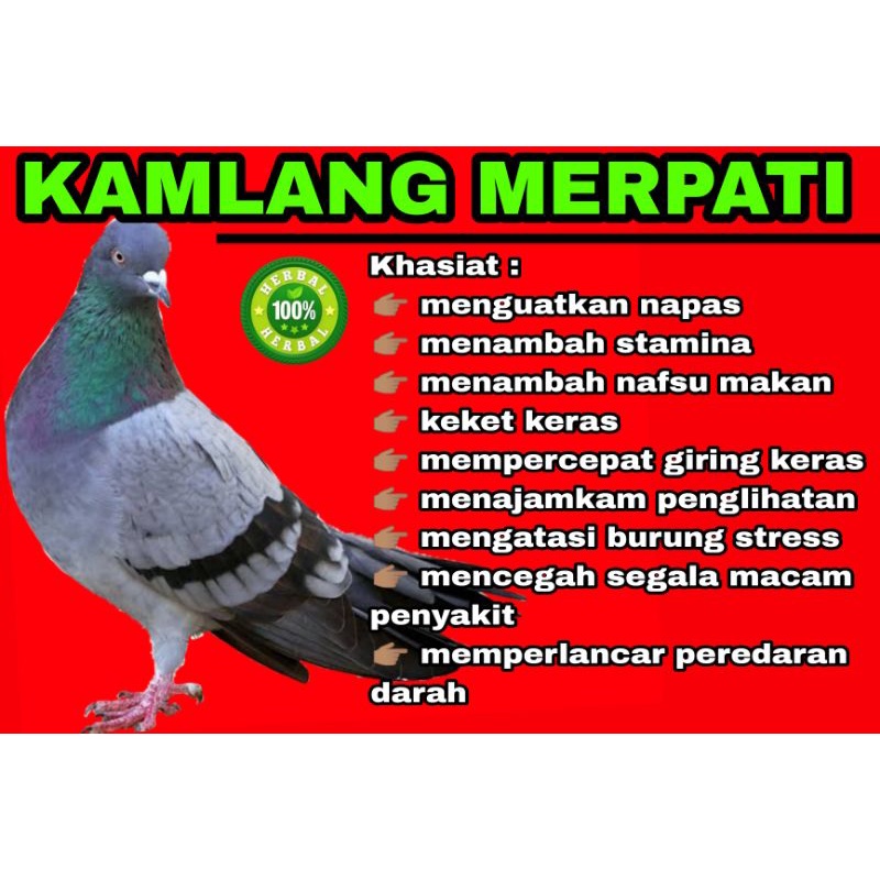 Jual jamu merpati , kamlang burung dara ,balap dll | Shopee Indonesia