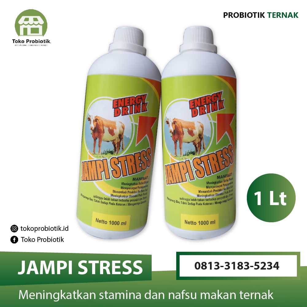 Jual Probiotik Ternak JAMPI STRESS untuk Meningkatkan Daya Tahan Tubuh ...