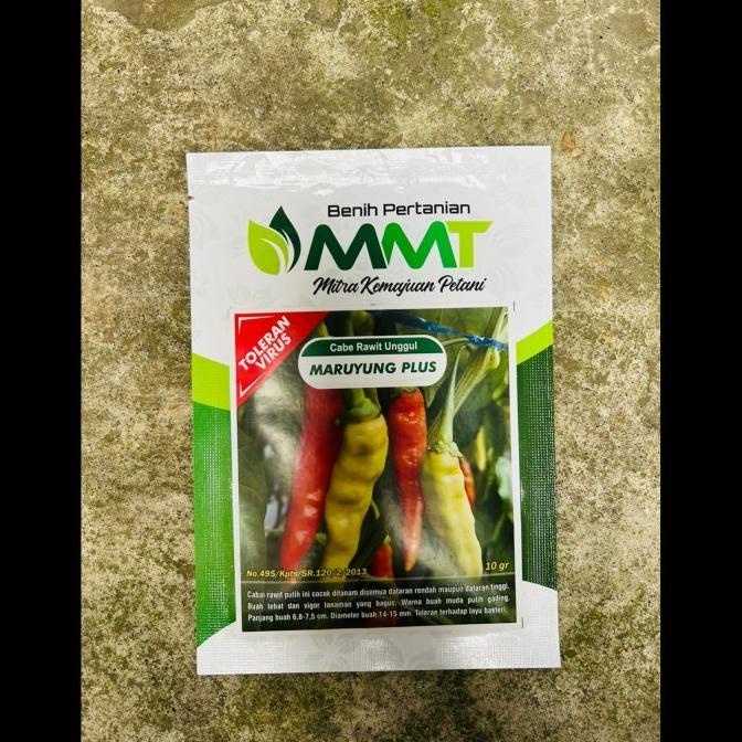 Jual Benih Cabe Rawit MARUYUNG PLUS isi 10gr dr MMT R ) | Shopee Indonesia