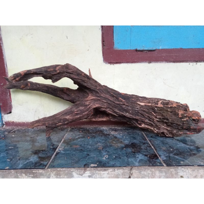 Jual kayu rentek | Shopee Indonesia