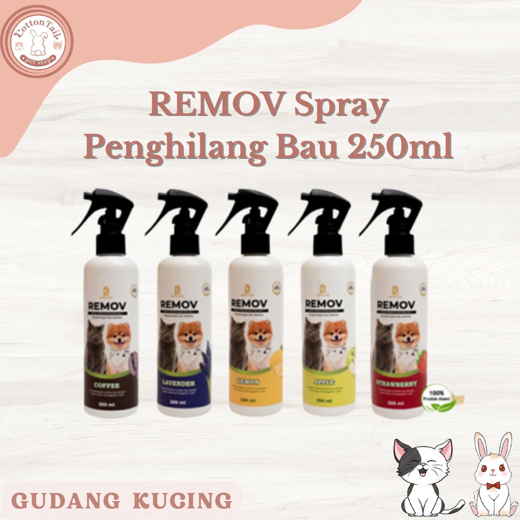 Jual Remov Spray Penghilang BauTanpa Noda 250ml | Shopee Indonesia