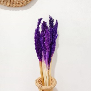 Jual Rayung Stick Pampas Panjang 1,5 Meter (1 ikat isi 3 batang ...