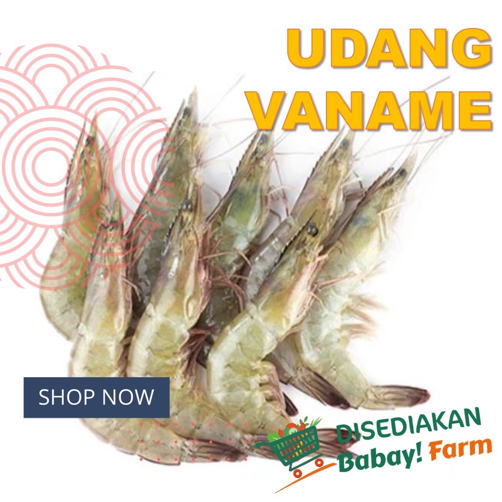 Jual Udang Vaname 250 500 gr / 1 Kg | Shopee Indonesia