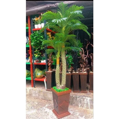 Jual PALM IMPORT JUMBO SUPER DENGAN POT // BUNGA HIAS PALM BUNGA HIAS ...
