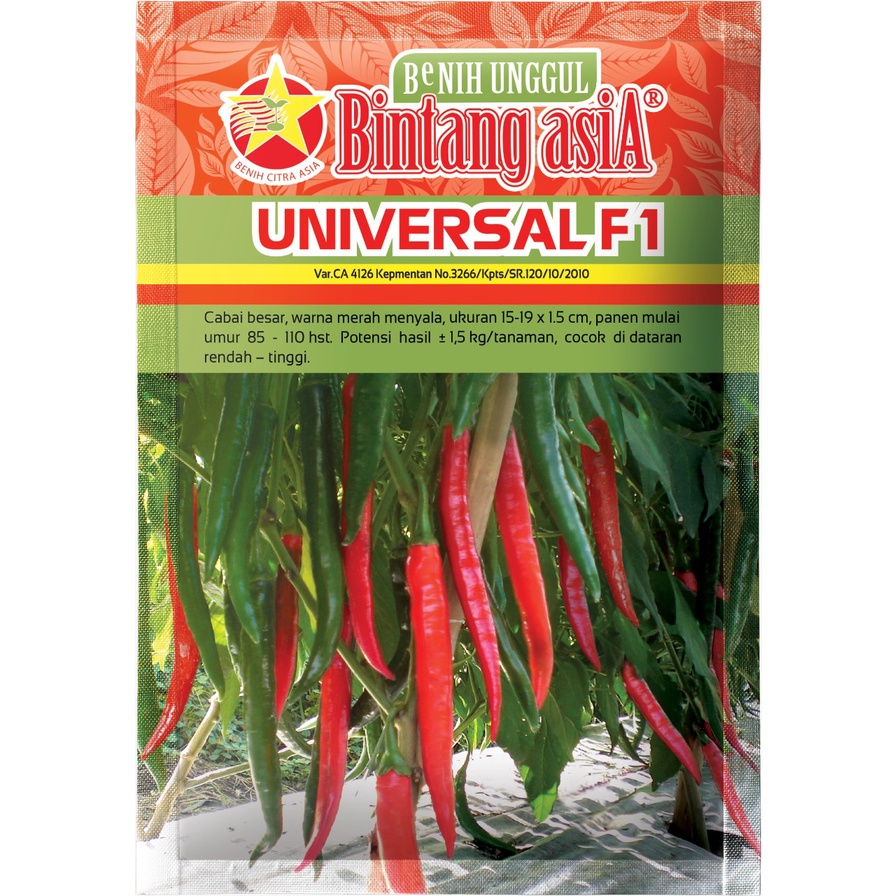 Jual Benih Cabai Cabe Besar UNIVERSAL F1 10 Gram Cap Bintang Asia PT ...