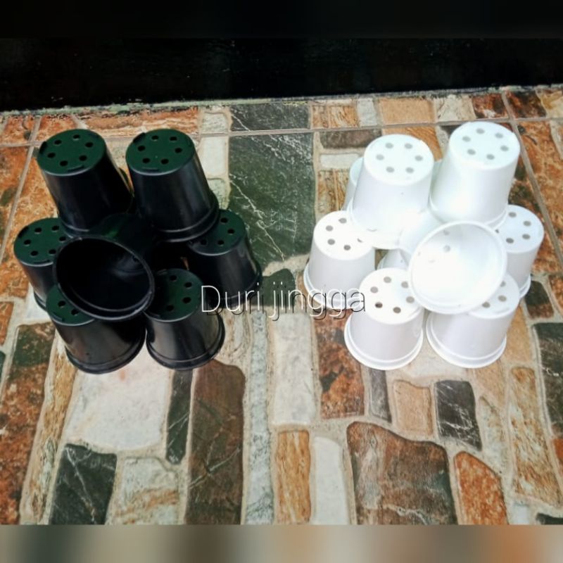 Jual Pot putih atau hitam ukuran diameter 5cm minimal order 12pot ...