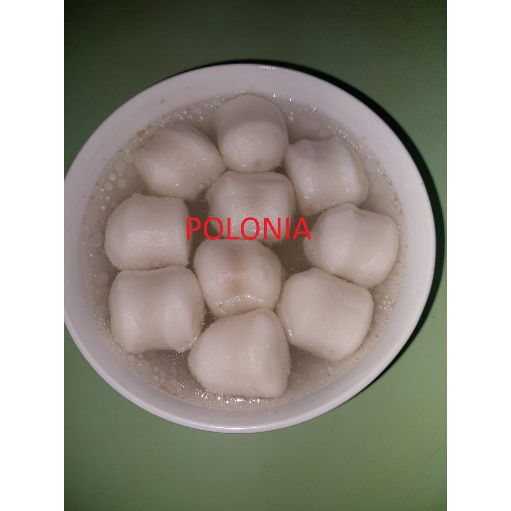 Jual 10 BUTIR BASO IKAN ISI BABI Bakso Huwan Fuzhou ENAK FROZEN READY ...