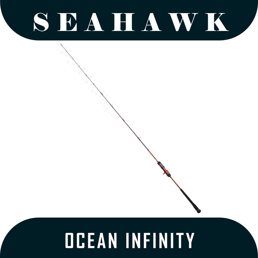 Jual Joran Pancing Jigging Seahawk Ocean Infinity Casting 631C-2 | 631C ...