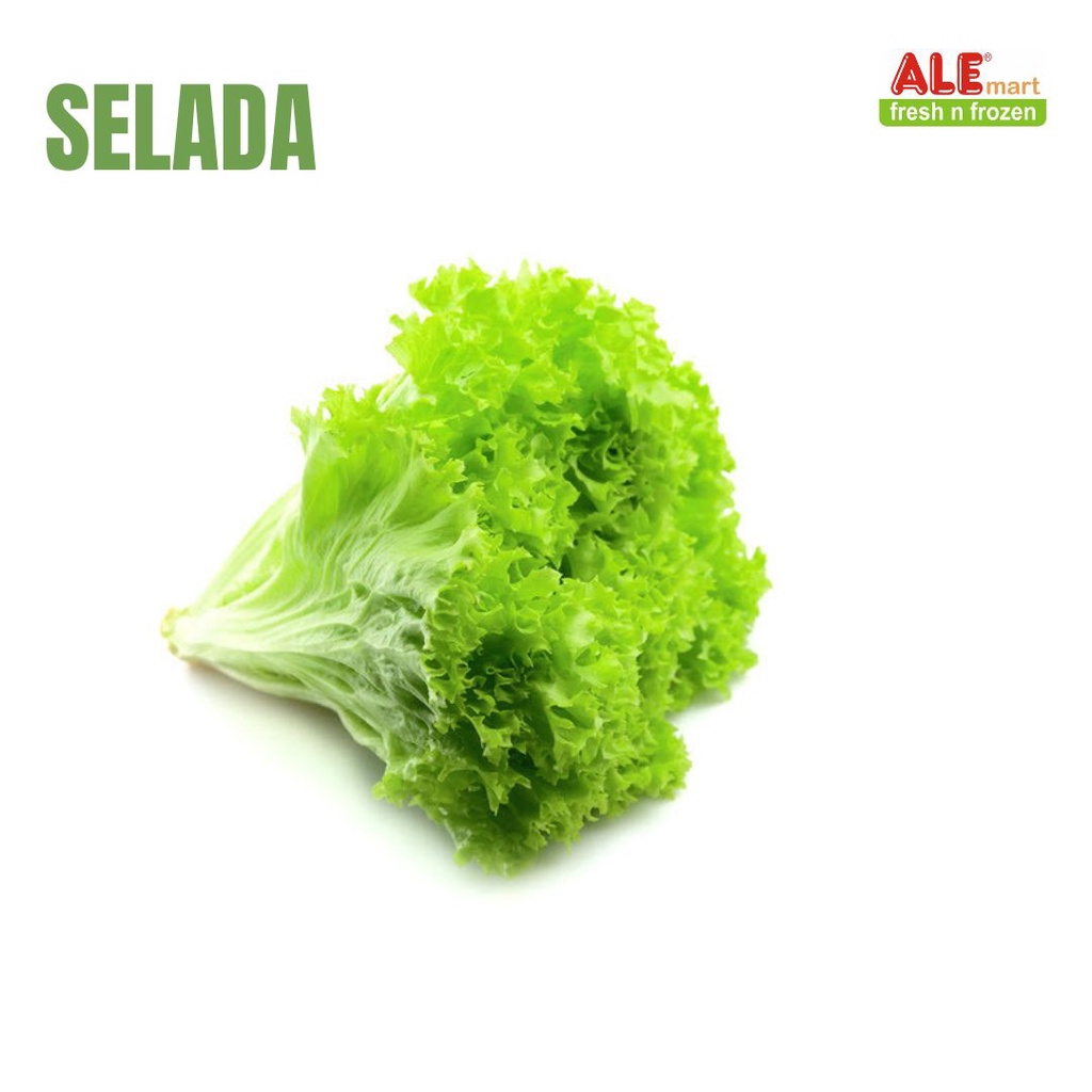 Jual Sayur selada fresh 250gr, sayur selada, sayur selada kriting ...
