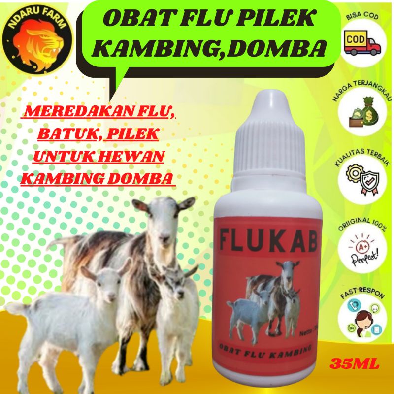 Jual Obat batuk kambing - Obat pilek kambing - Obat Pneumonia Ternak ...