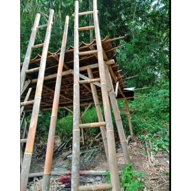 Jual TANGGA BAMBU TINGGI 150 CM | Shopee Indonesia