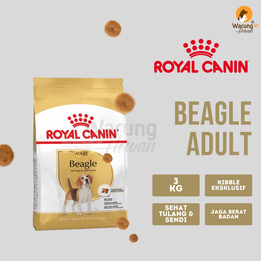 Jual Royal Canin Beagle Adult 3 kg | Shopee Indonesia