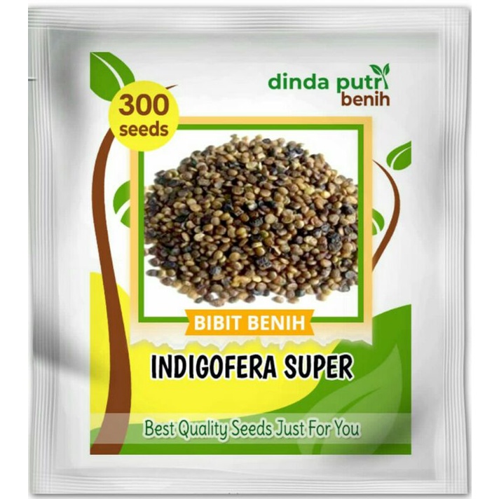Jual BENIH INDIGOFERA PREMIUM (isi 300 biji) | Shopee Indonesia