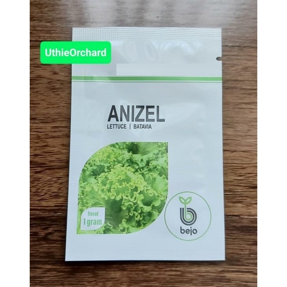 Jual Benih Benih Bejo Seed - Selada Batavia Anizel Kemasan 1 Gr ...