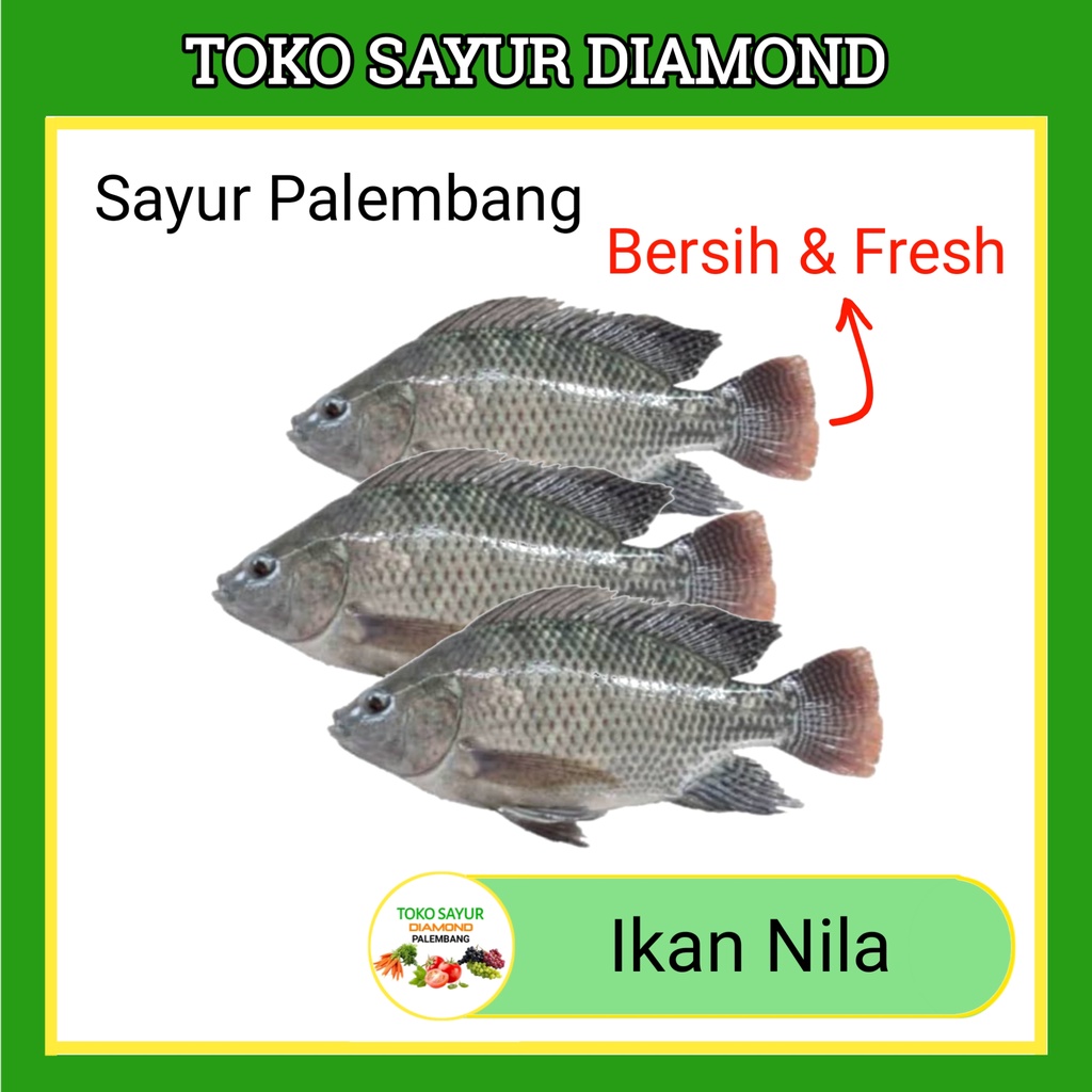 Jual Ikan Nila Fresh - Palembang | Shopee Indonesia