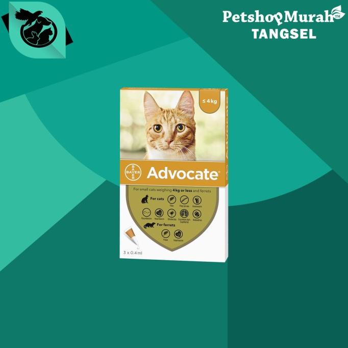 Jual Obat Tetes Kutu Cacing Tungau Flea Scabies Kucing Advocate 0 4 KG ...