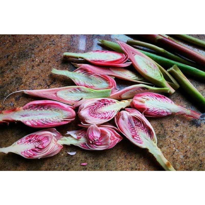 Jual KECOMBRANG / KINCUNG 1kg | Shopee Indonesia