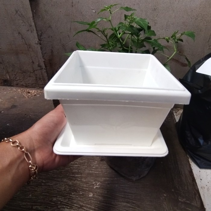 Jual alas pot kotak persegi putih | Shopee Indonesia