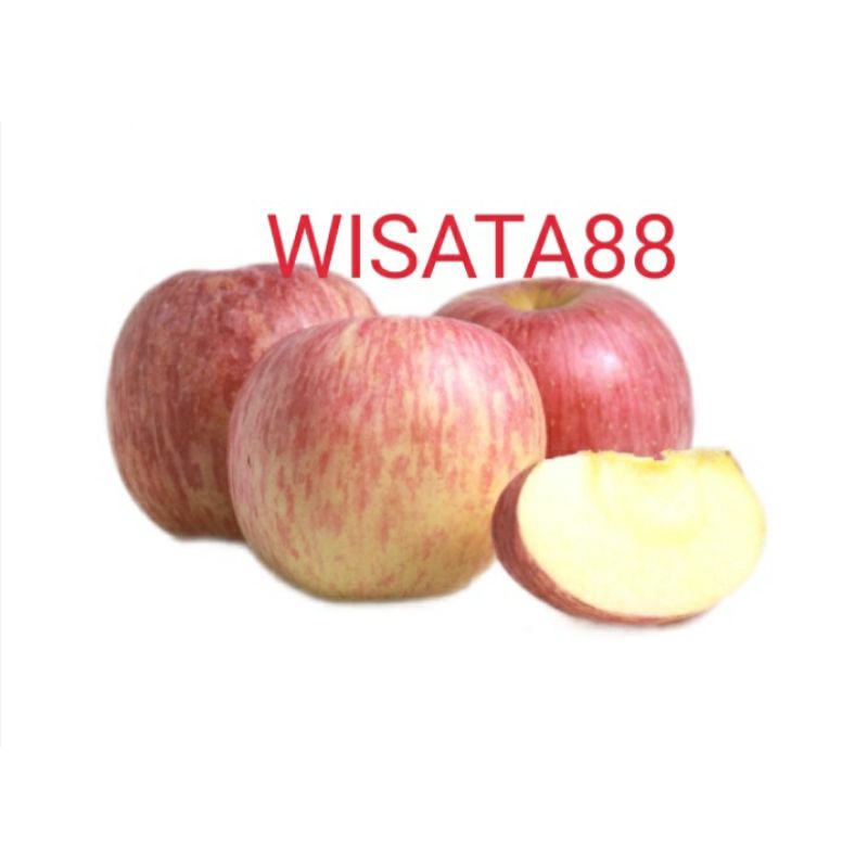 Jual buah apel fuji premium 500gr import fresh | Shopee Indonesia