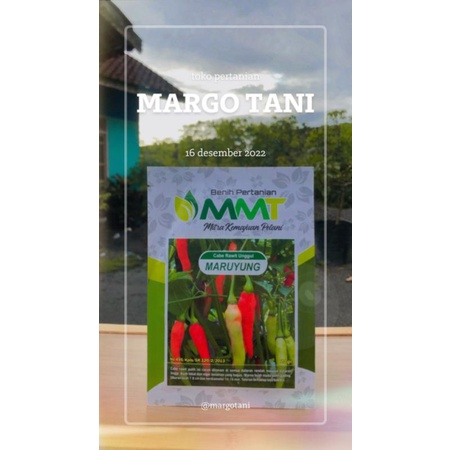 Jual benih cabai MARUYUNG dari MMT kemasan 10gr | Shopee Indonesia