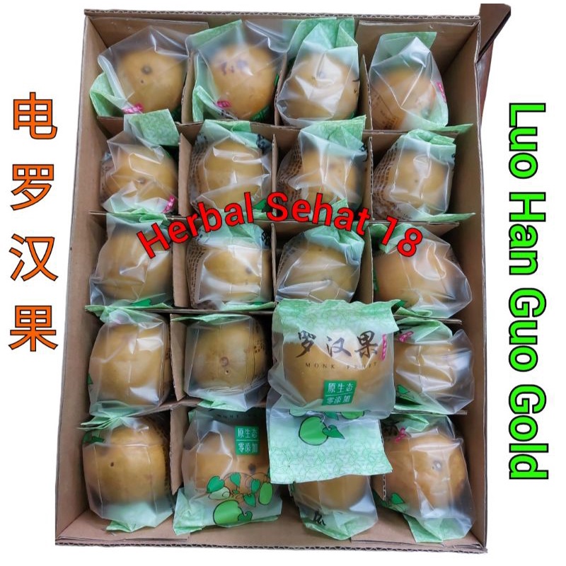 Jual 1 Box isi 20 Buah - Lo Han Kuo GOLD - Lohanko EMAS 电罗汉果 Luohanguo ...