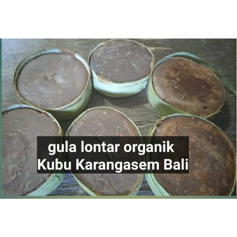 Jual Gula lontar organik asli Kubu Karangasem Bali | Shopee Indonesia