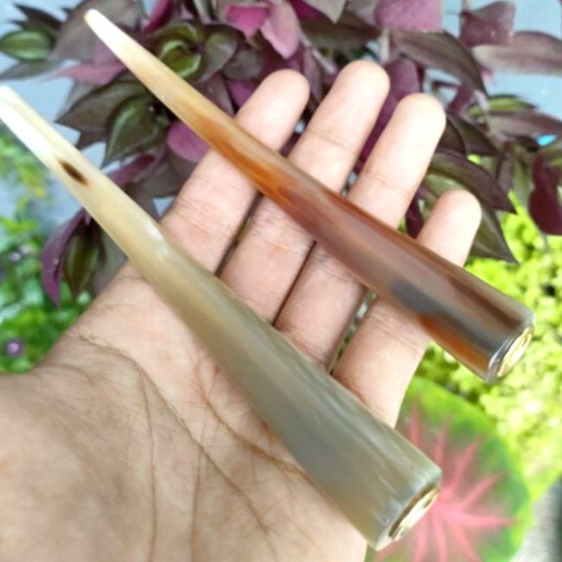 Jual Once Pipa Tanduk Kerbau Bule Panjang -+ 15 Cm | Shopee Indonesia