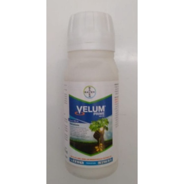 Jual Velum Prime 400 SC 100 ml/fungisida velum/velum prime bayer/velum ...