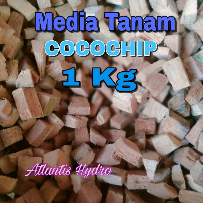 Jual COCOCHIP/ Cocohusk Media Tanam Serabut Sabut Kelapa ( 1 Kg ) MURAH ...