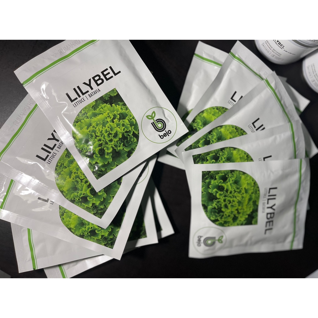 Jual Benih Bejo Seed - Selada Batavia lilybel; kemasan 1000 seed ...