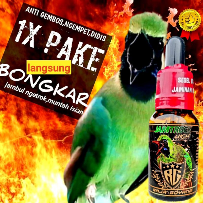 Jual Cucak Ijo Medan Terlengkap & Harga Terbaru Juni 2026 | Shopee ...