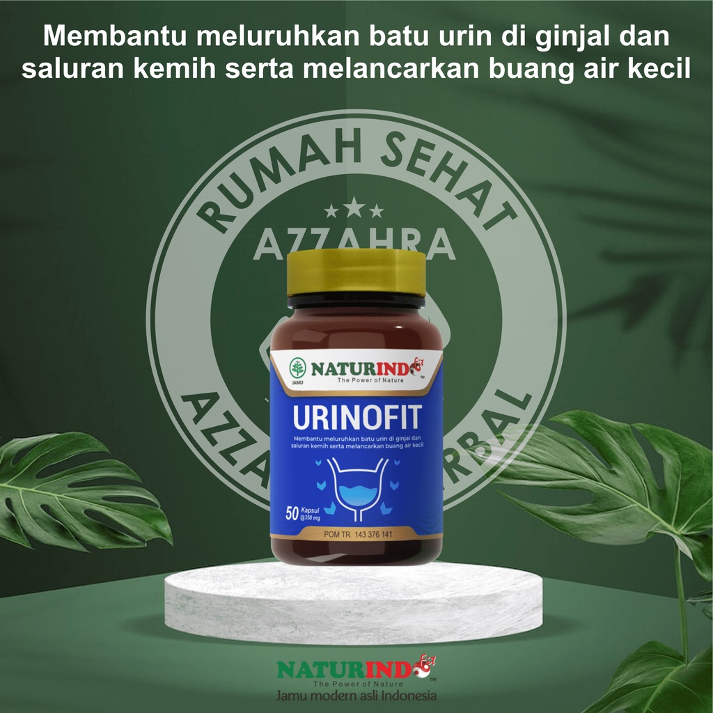 Jual URINOFIT - Spesial Ginjal (Naturindo) | Shopee Indonesia