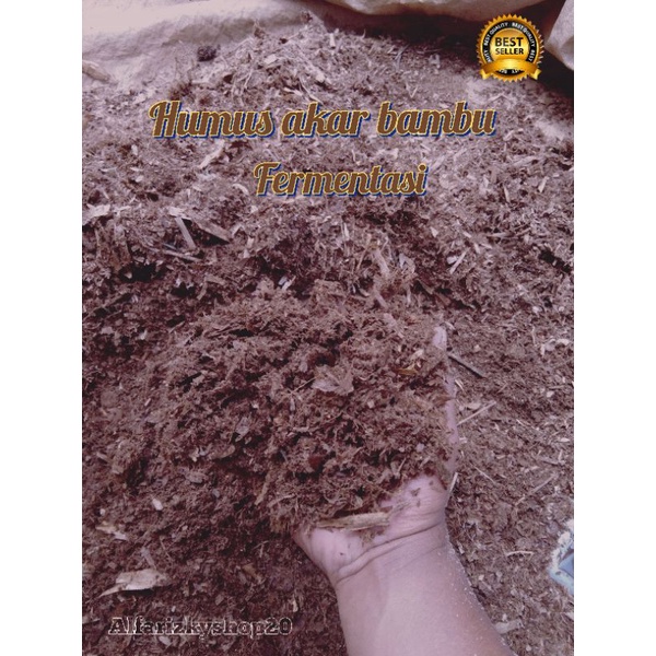 Jual Humus akar bambu fermentasi 1kg | Shopee Indonesia