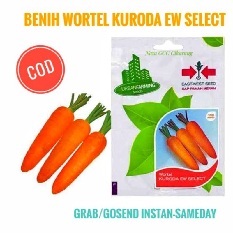 Jual BENIH WORTEL KURODA EW SELECT 1000 BIJI | Shopee Indonesia