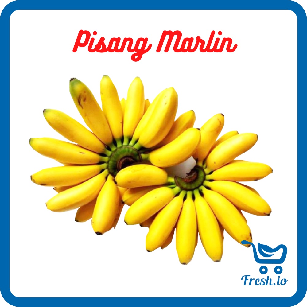 Jual Pisang Marlin | Shopee Indonesia
