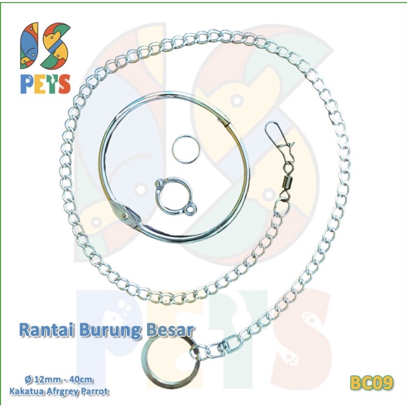 Jual Rantai Burung Kakatua Afgrey 12mm Ikat Kaki Ring Besi Training ...