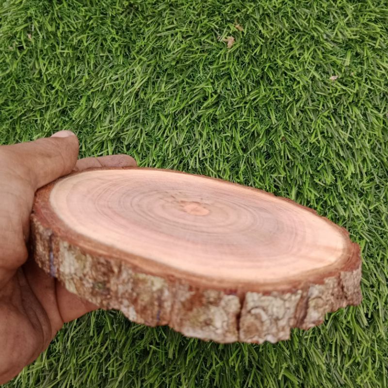 Jual potongan kayu bulat/slice Wood/talenan bulat 10-13cm | Shopee ...