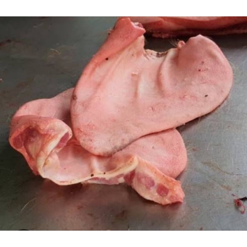 Jual Kuping Babi | Shopee Indonesia