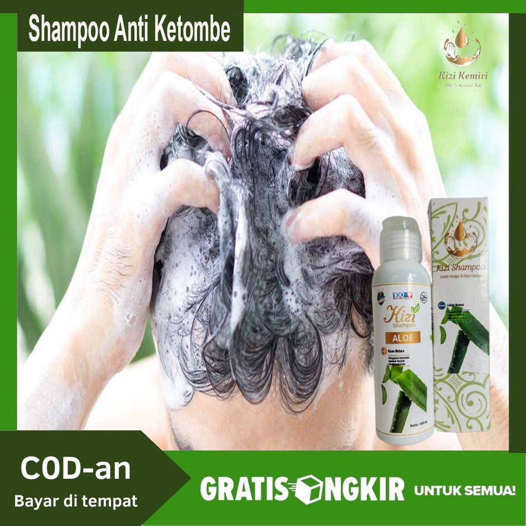 Jual Shampoo - Lidah buaya - Pohon Bidara | Shopee Indonesia