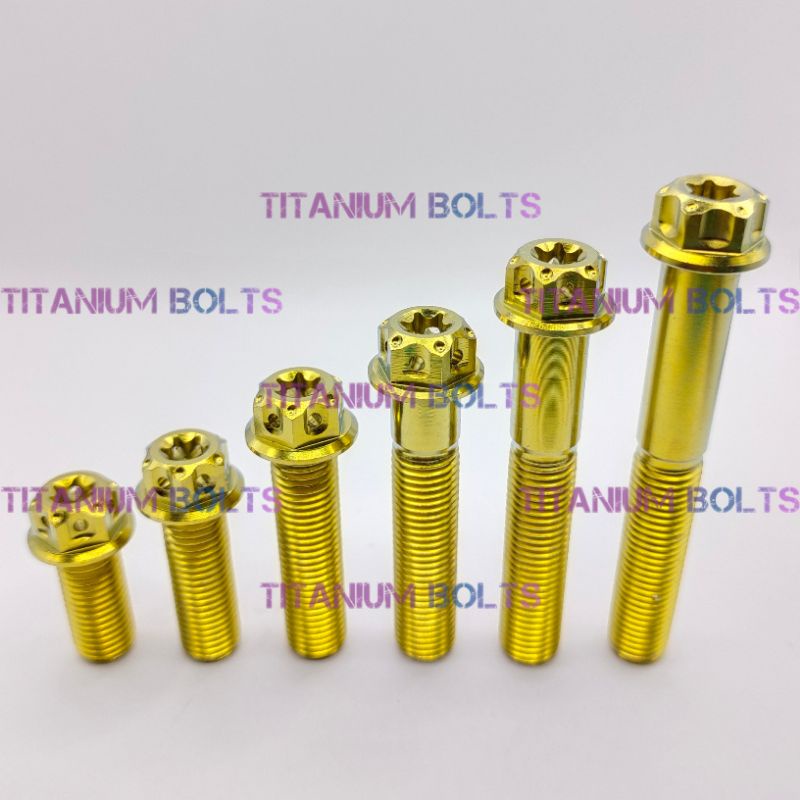 Jual Baut Titanium Bolts Salaya GR5 M10X23 M10X30 M10X40 M10X50 M10X60 ...