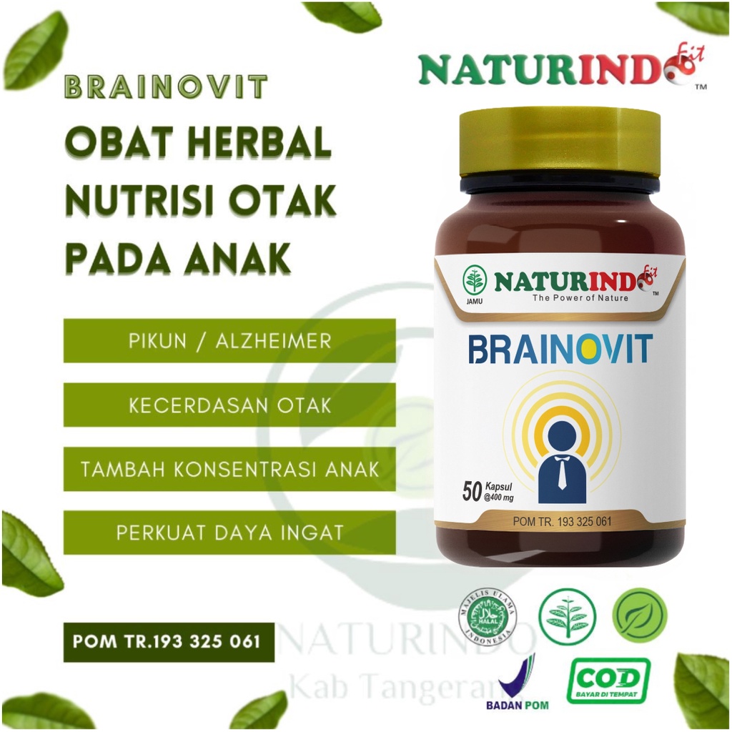 Jual Naturindo Brainovit Brainofit Obat Herbal Suplemen Nutrisi Otak ...