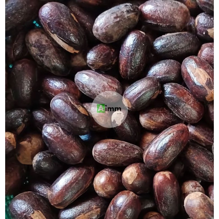 Jual BIJI PALA KERING - SIMPLISIA BIJI PALA - 100 GRAM | Shopee Indonesia