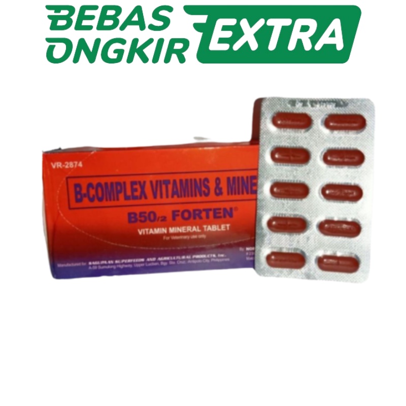 Jual B50 Forten Original Vitamin Mineral | Shopee Indonesia