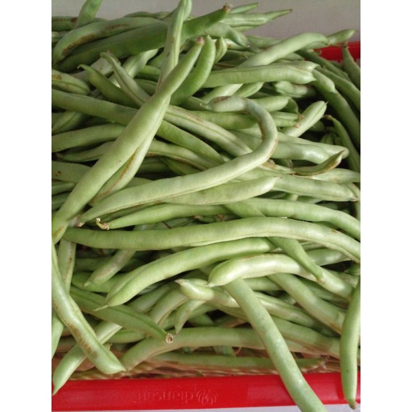 Jual Ucet 250 gr/buncis/kacang panjang | Shopee Indonesia