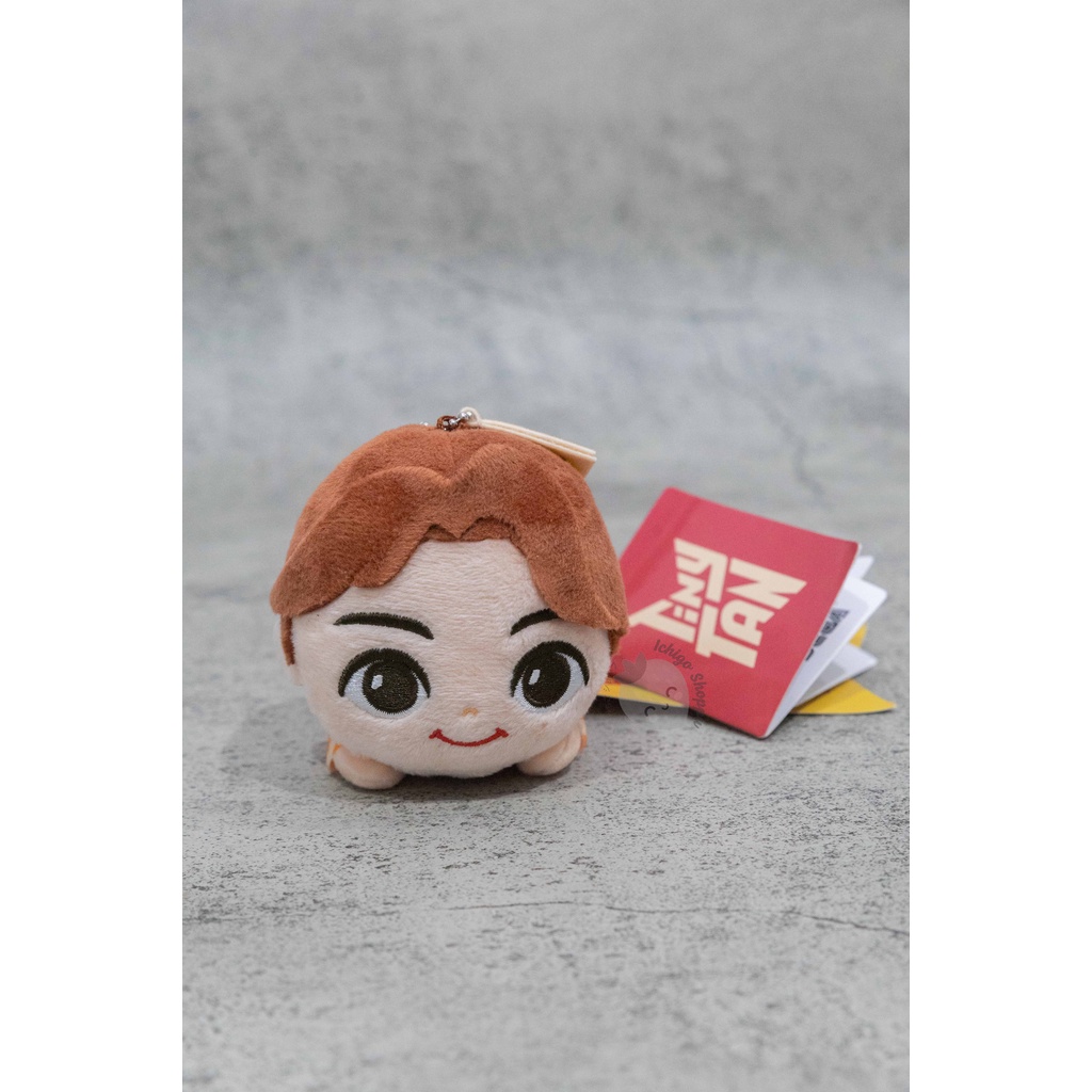Jual SEGA Nesoberi More Plush Strap Mascot BTS TinyTan Tiny Mart Jungkook | Shopee Indonesia