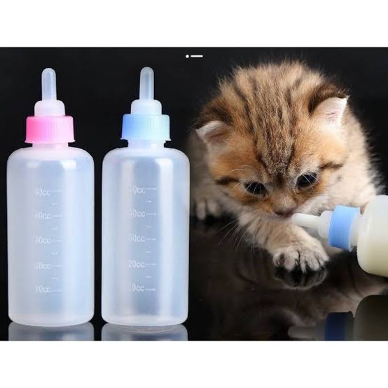 Jual Botol dot kucing polos + refil uk 100 cc / botol minum kitten ...