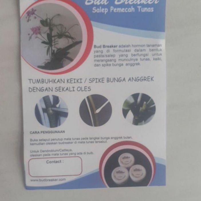 Jual Bud Breaker salep penumbuh tunas Anggrek kemasan 5gram | Shopee ...