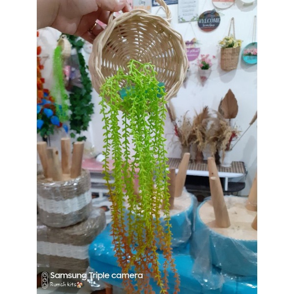 Jual bunga dinding hiasan dinding diameter pot 16cm panjang bunga ...