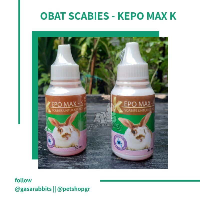 Jual OBAT SCABIES KELINCI - KEPO MAX OBAT SCABIES KELINCI - OBAT ...