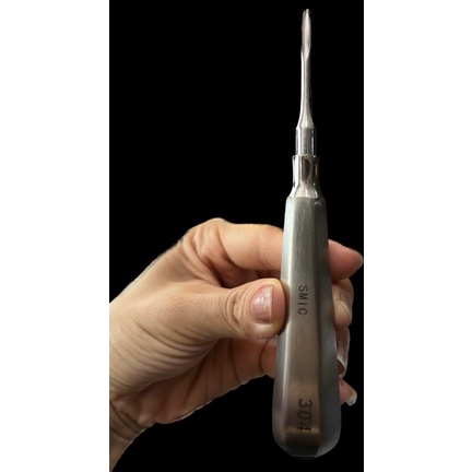 Jual Bein Root Elevator SMIC 304 Dental Tools Original | Shopee Indonesia